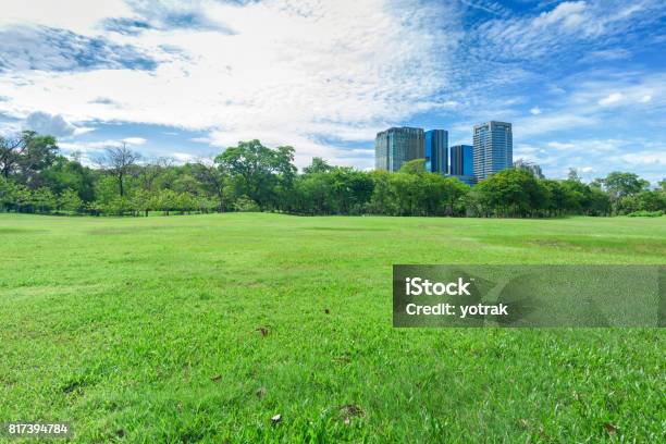 Lapangan Rumput Hijau Di Taman Di Pusat Kota Dengan Langit Biru Dan ... Lapangan Rumput Hijau Di Taman Di Pusat Kota Dengan Langit Biru Dan ...