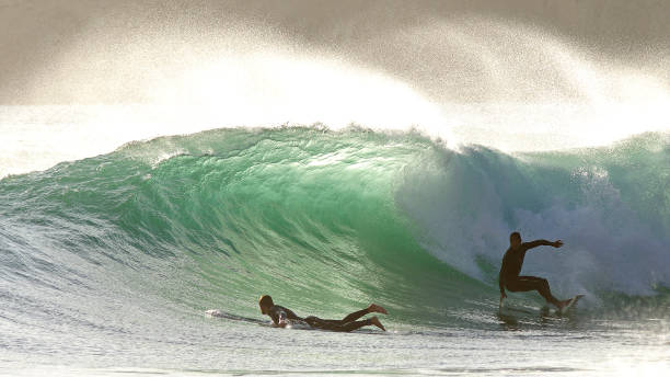Free Stock Photo of Two People Surfing in the Ocean | Download Free ...