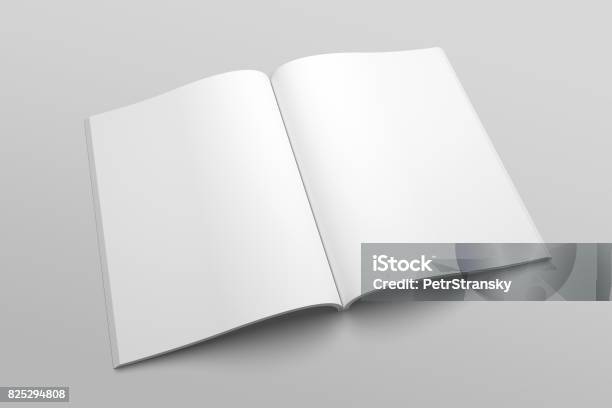 Majalah Us Letter Atau Brosur Ilustrasi 3d Mockup No 3 Foto Stok