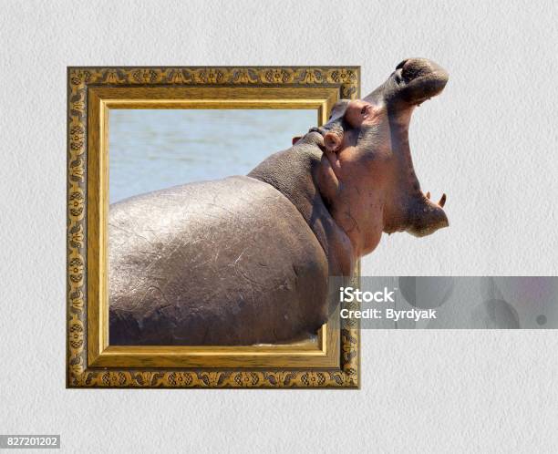 3d 효과 함께 프레임에 마 0명에 대한 스톡 사진 및 기타 이미지 0명 골동품 공란 Istock