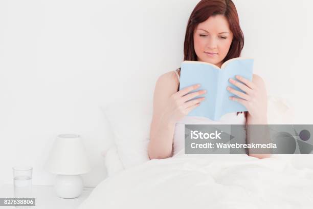 Menarik Wanita Redhaired Membaca Buku Sambil Duduk Foto Stok Unduh