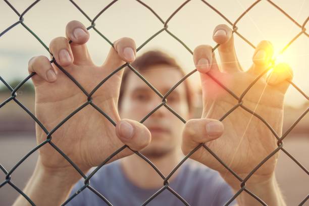 Free Stock Photo of Young male photographer behind chain fence ...