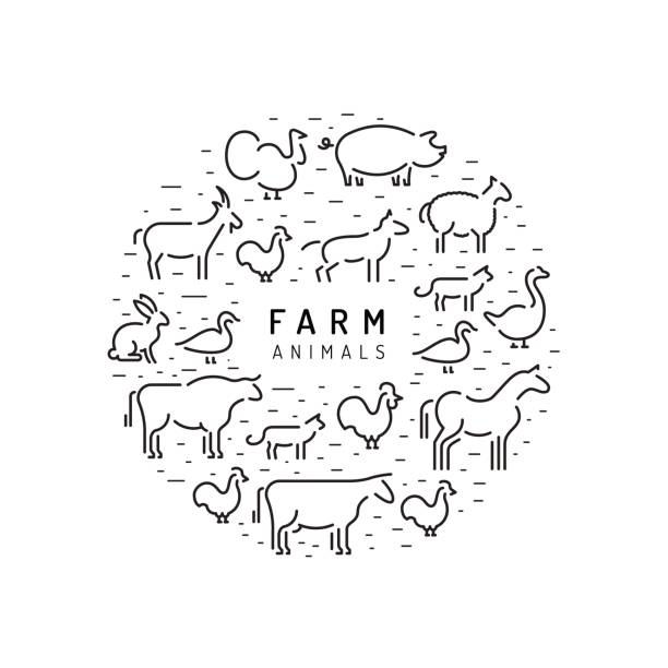 50 Poulet Frit De La Campagne Stock Illustrations Graphiques