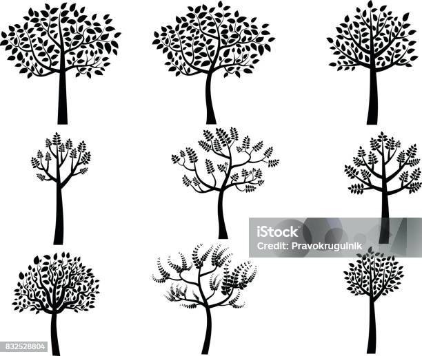 Silhouettes Darbre Vectoriel En Noir Avec Des Feuilles Vecteurs Libres