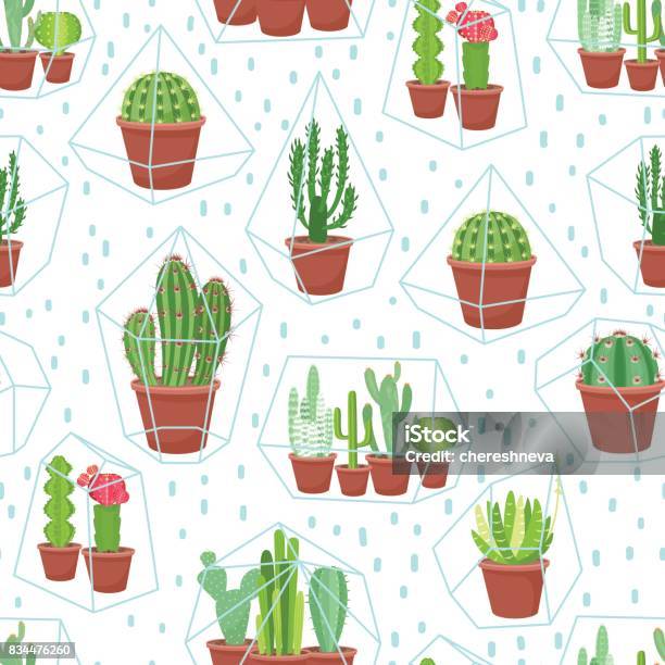 Succulents 완벽 한 배경입니다 선인장 및 Succulents Terrariums 기하학적 Florariume에 완벽 한
