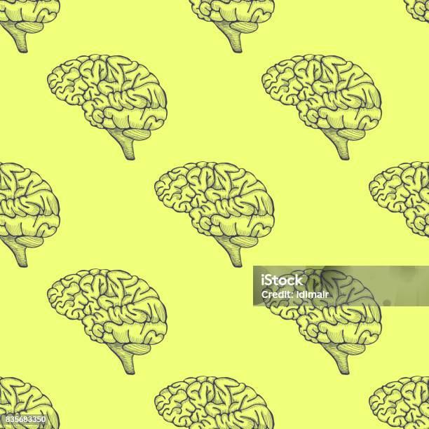 Ilustrasi Otak Ukiran Pola Mulus Anatomi Yang Ditarik Tangan Vektor