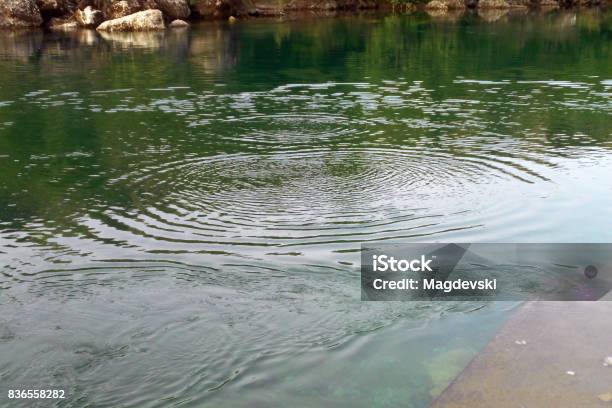 Photo Libre De Droit De Cercles Concentriques Sur Une Surface Calme De