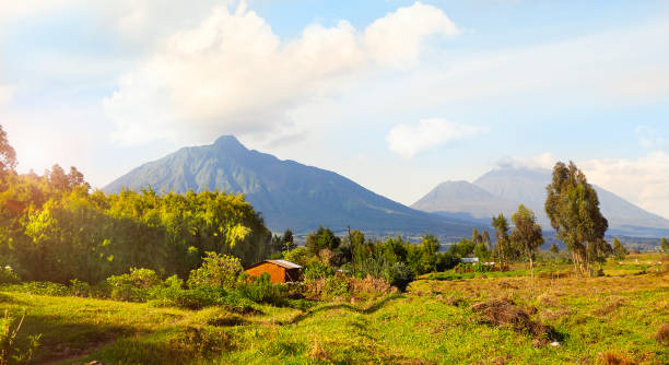 30k+ Rwanda Pictures | Download Free Images on Unsplash