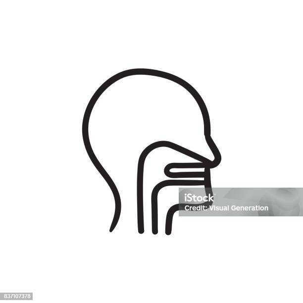 Kepala Manusia Dengan Telinga Hidung Ikon Sketsa Tenggorokan Ilustrasi ... Kepala Manusia Dengan Telinga Hidung Ikon Sketsa Tenggorokan Ilustrasi ...