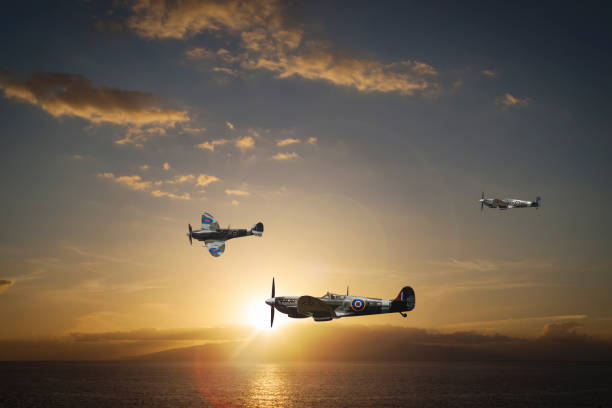 Spitfire Pictures | Download Free Images on Unsplash