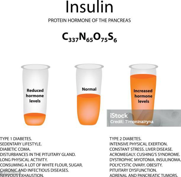 Formula Molekul Kimia Dari Insulin Hormon Hormon Pankreas Mengurangi ... Formula Molekul Kimia Dari Insulin Hormon Hormon Pankreas Mengurangi ...