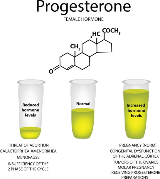 720 Progesterone Stock Illustrations Royalty Free Vector Graphics