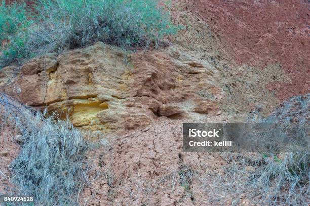 Batu Kering Di Latar Belakang Vegetasi Hijau Foto Stok - Unduh Gambar ... Batu Kering Di Latar Belakang Vegetasi Hijau Foto Stok - Unduh Gambar ...