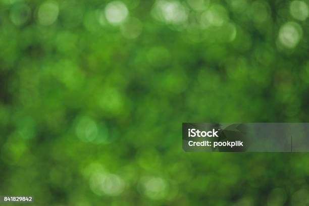 Bokeh 동그라미와 자연 녹색 배경입니다 0명에 대한 스톡 사진 및 기타 이미지 0명 계절 낮 Istock