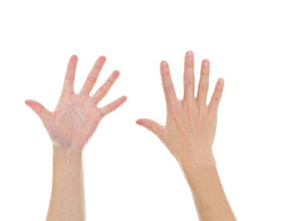 Right Hand Pictures | Download Free Images on Unsplash