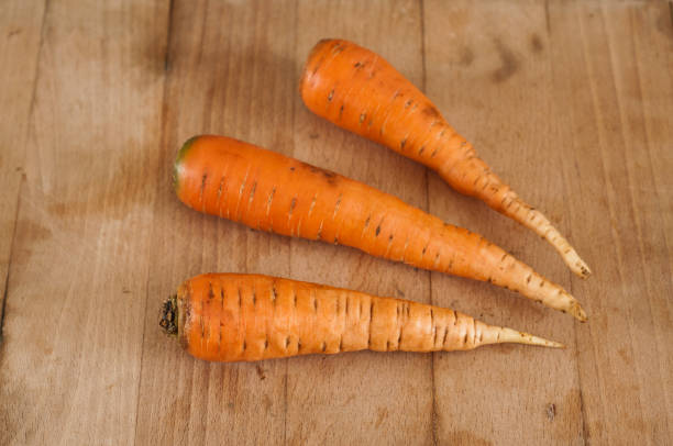 Carottes Pictures | Download Free Images on Unsplash