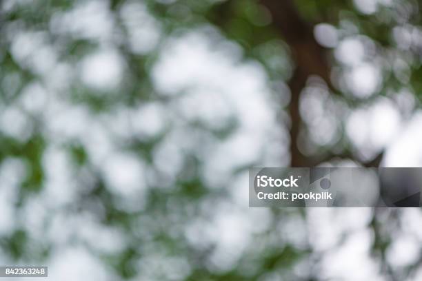 Bokeh 동그라미와 자연 녹색 배경입니다 0명에 대한 스톡 사진 및 기타 이미지 0명 계절 낮 Istock