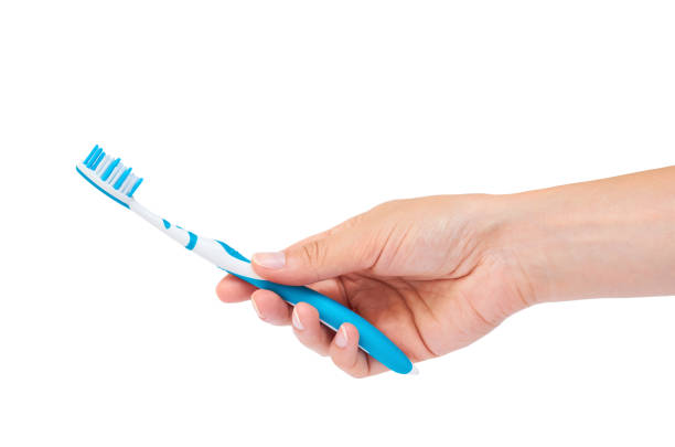 Free Stock Photo of Person Holding Toothbrush in Hand | Download Free ...