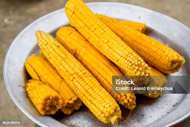 Jagung Rebus Di Atas Nampan Aluminium Jagung Muda Rebus Kuning Makanan ... Jagung Rebus Di Atas Nampan Aluminium Jagung Muda Rebus Kuning Makanan ...