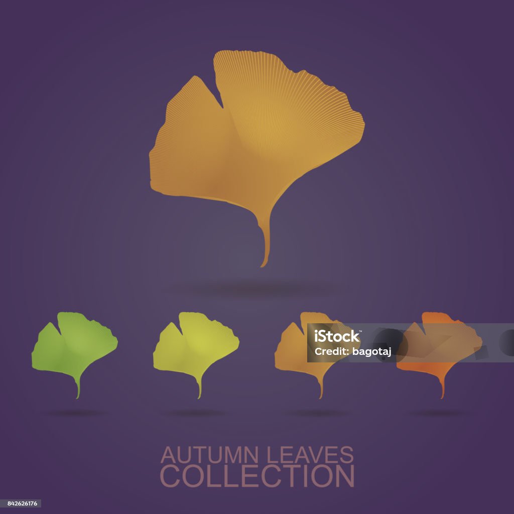 Colorful Autumn Leaves Collection Stock Illustration Download Image