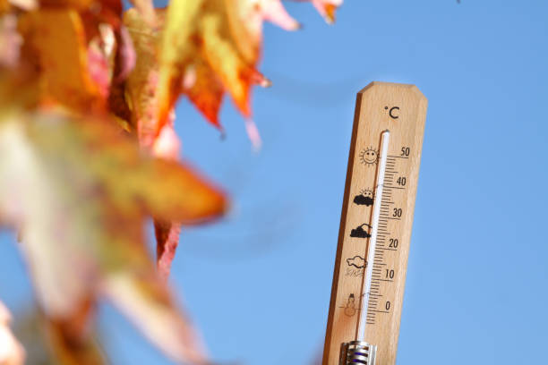 Free cool weather stock photos. Download the best free cool weather ...