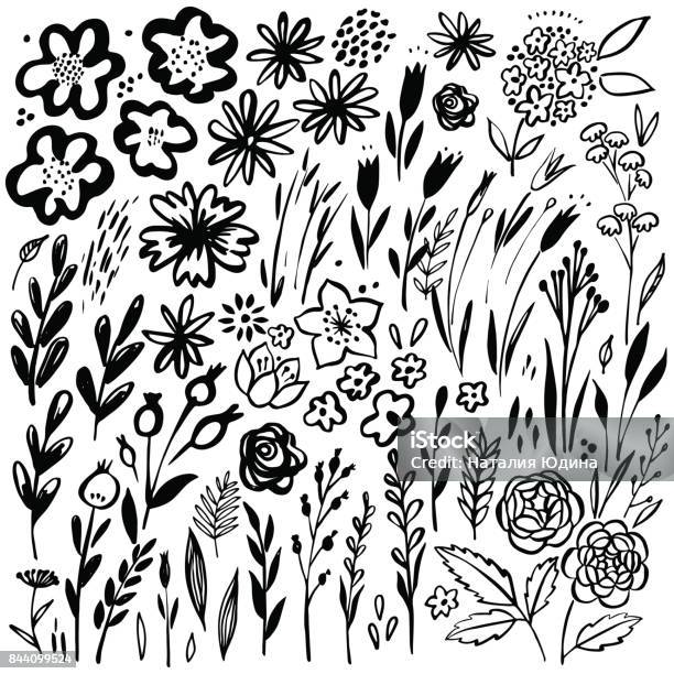 Ilustración De Conjunto Floral Dibujado A Mano Elementos Florales
