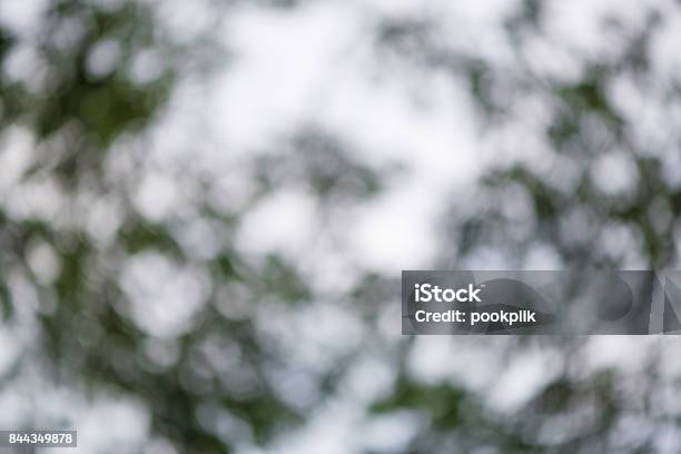 Bokeh 동그라미와 자연 녹색 배경입니다 0명에 대한 스톡 사진 및 기타 이미지 0명 계절 낮 Istock