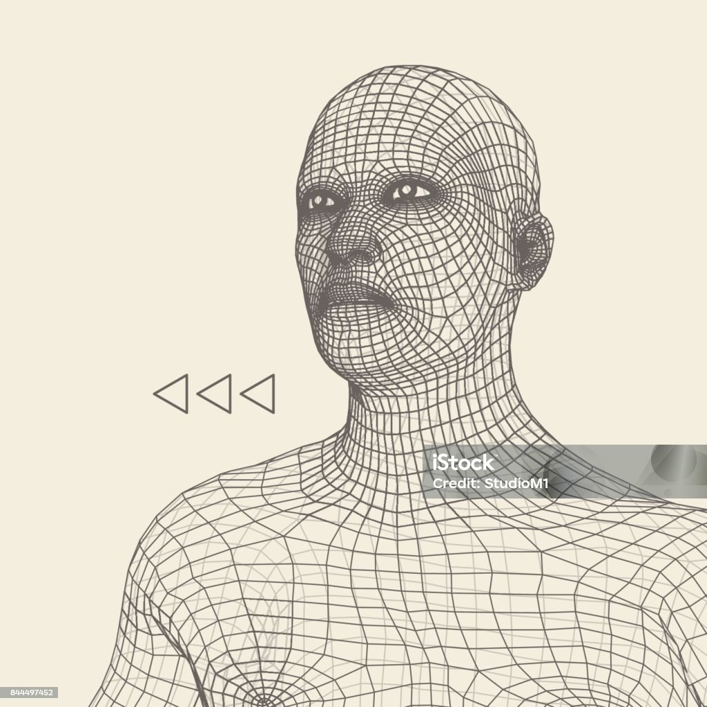 Ilustración De Cabeza De La Persona De Una Red 3d Cabeza Humana De