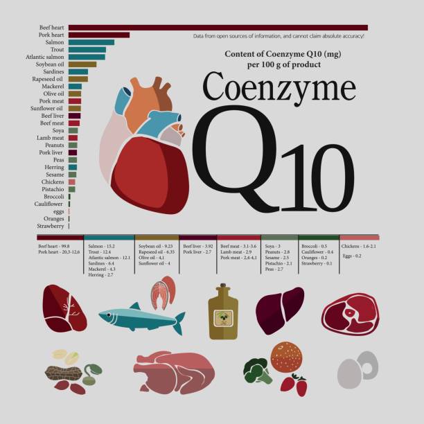 1100 Coenzyme Stock Illustrations Royalty Free Vector Graphics And Clip Art Istock