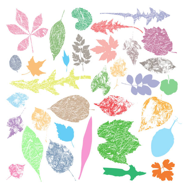 50 Bluegrass Grass Illustrations Royalty Free Vector Graphics And Clip