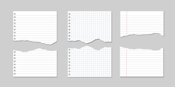Lined paper texture Clipart Vector PNG , SVG, EPS, PSD, AI