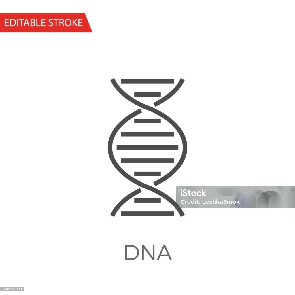 Dna 細線向量圖示向量圖形及更多健保和醫療圖片 健保和醫療 分子 化學 Istock