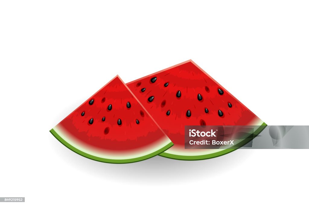 Tranches De Melon Deau Réaliste Isolés Sur Blanc Illustration