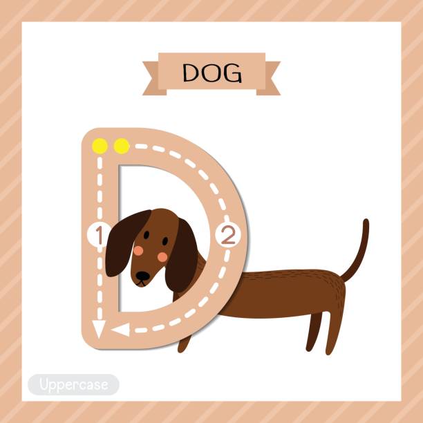 50+ Flashcard Alphabet D Is For Dog Stock Illustrations, Royalty-Free ... 50+ Flashcard Alphabet D Is For Dog Stock Illustrations, Royalty-Free ...