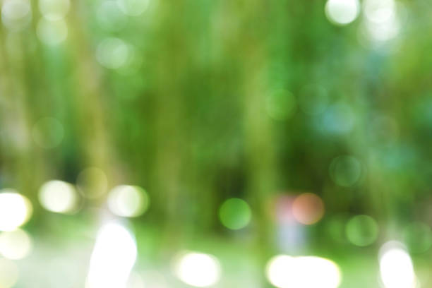 Fundo Verde Pictures | Download Free Images on Unsplash