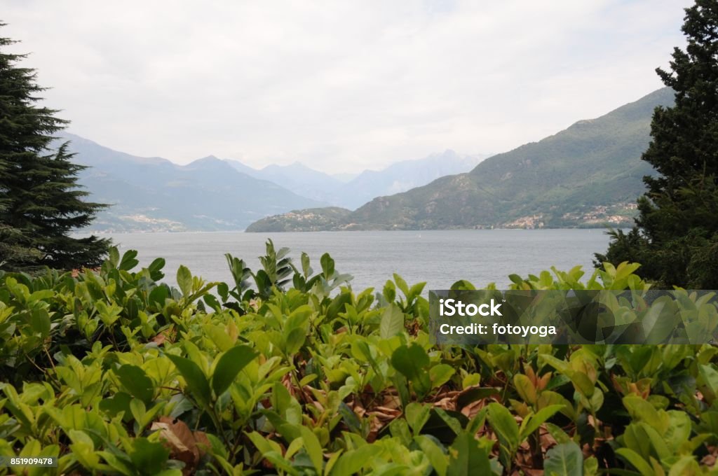 Idyllic Beautiful Summer Landscape Stock Photo - Download Image Now ... Idyllic Beautiful Summer Landscape Stock Photo - Download Image Now ...