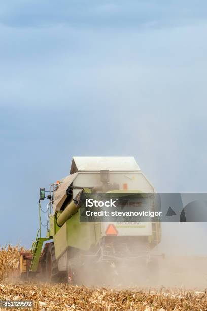 Claas 결합 수확기를 옥수수 밭에 0명에 대한 스톡 사진 및 기타 이미지 0명 가뭄 가을 Istock