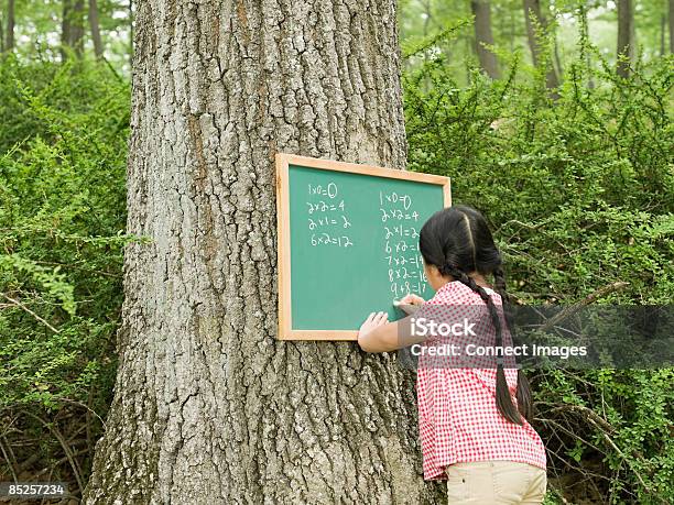 A 여자아이 쓰기 한 Blackboard 교실에 대한 스톡 사진 및 기타 이미지 교실 교육 숲 Istock