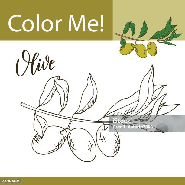 Coloriage De Léducation Avec Des Légumes Main Sur Vector Illustration