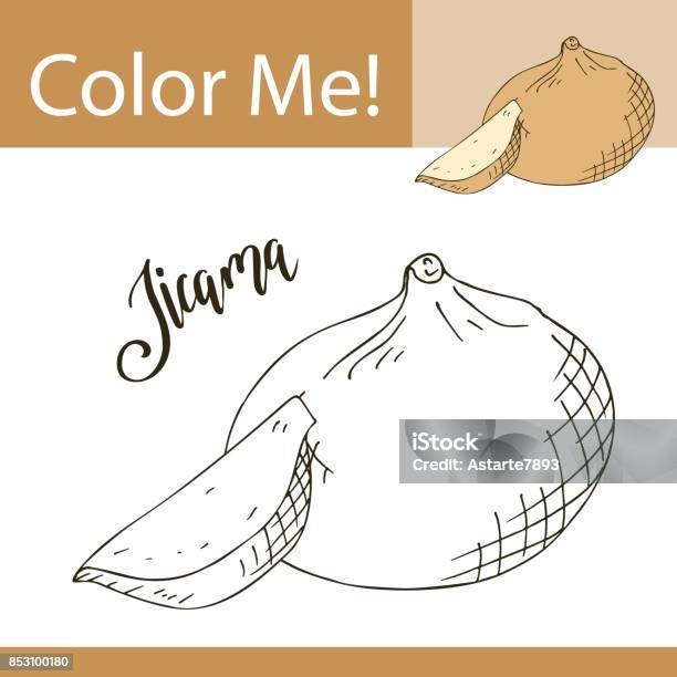 Coloriage De Léducation Avec Des Légumes Dessiné De Main Illustration