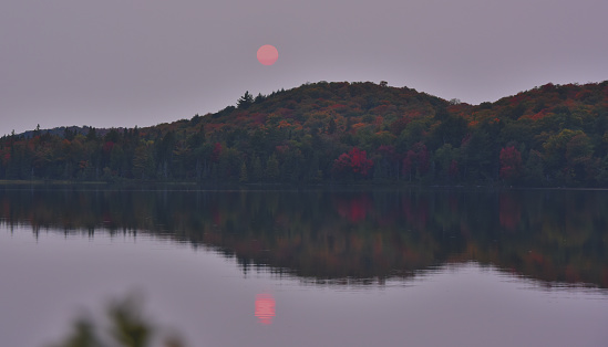 Algonquin 공원 온타리오 캐나다에서가 0명에 대한 스톡 사진 및 기타 이미지 0명 가로수 가을 Istock