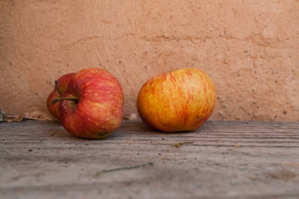 Apples on decorative garden bench | Free Stock Image - Barnimages