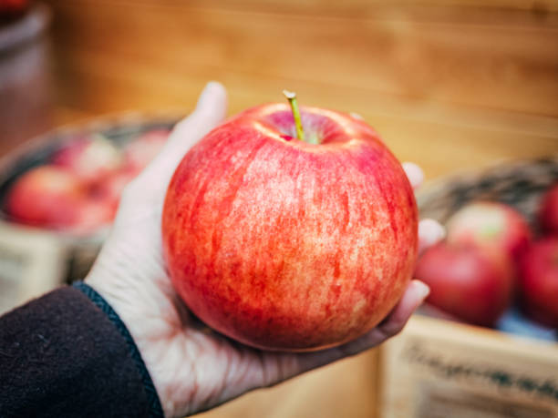 Free picture: big, red, organic, fruit, apple