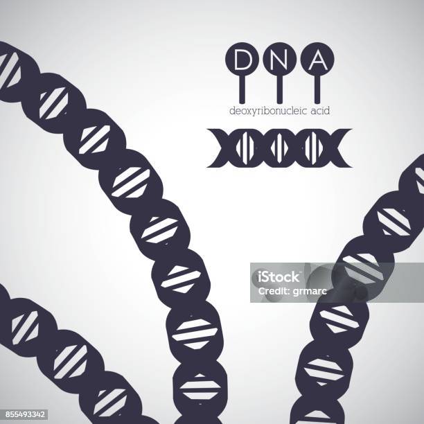 Dna 구조 염색체 디자인 Dna에 대한 스톡 벡터 아트 및 기타 이미지 Dna 건강관리와 의술 건강한 생활방식 Istock