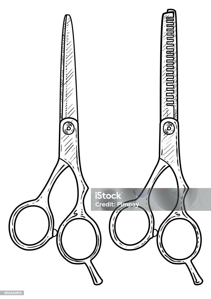Ilustrasi Gunting Penataan Rambut Gambar Ukiran Tinta Seni Garis Vektor