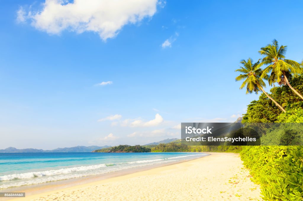 Photo Libre De Droit De Plage Typique Sur Lîle De Mahé Seychelles