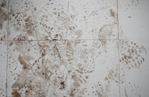 Dirty Floor Pictures | Download Free Images on Unsplash