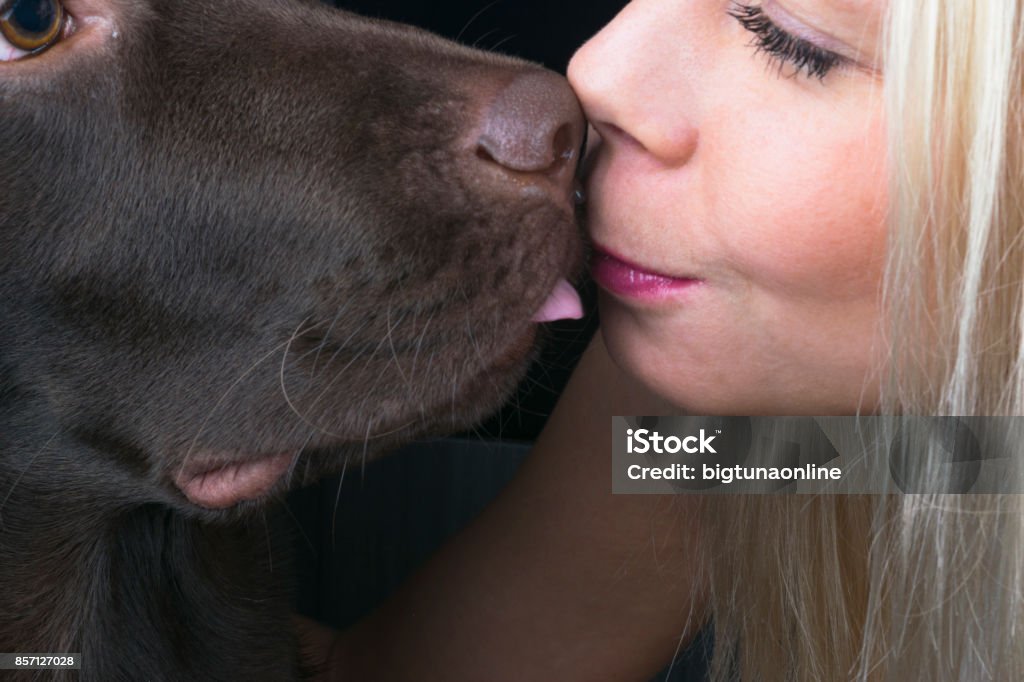 Photo Libre De Droit De Belle Fille Baiser Avec Labrador Retriever