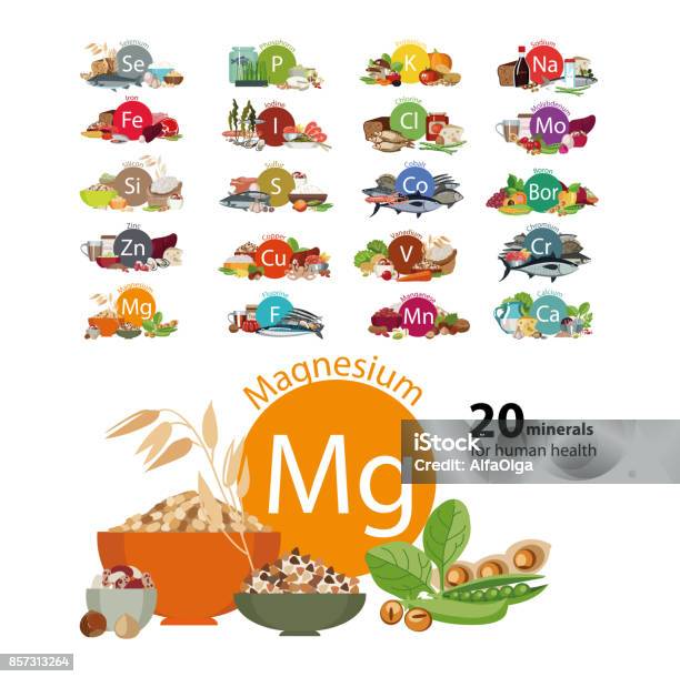 20 미네랄 마그네슘에 대한 스톡 벡터 아트 및 기타 이미지 마그네슘 식이 섬유 음식 Istock