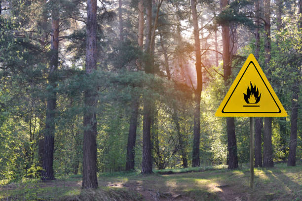 Free wildfire alert stock photos. Download the best free wildfire alert ...